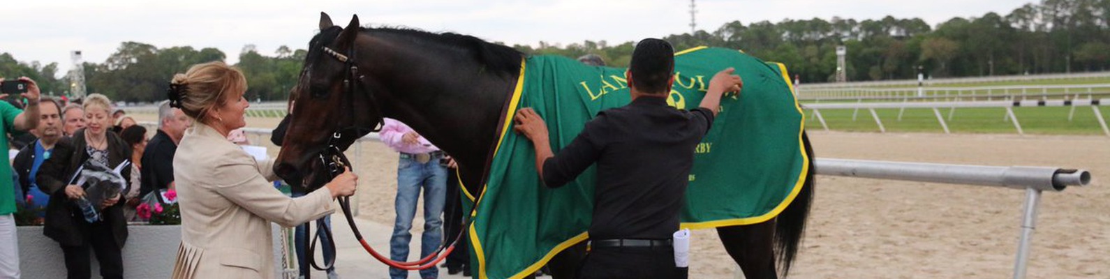 Quip | Quip February 19, 2015 Distorted Humor и Princess Ash Жокей ...